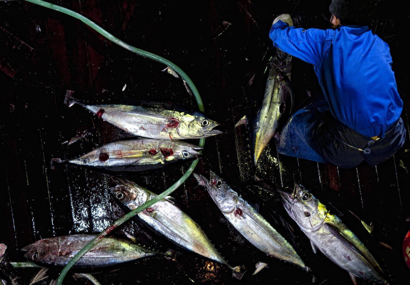 Photo diary: 60 days at sea on a Chinese distant-water fishing boat