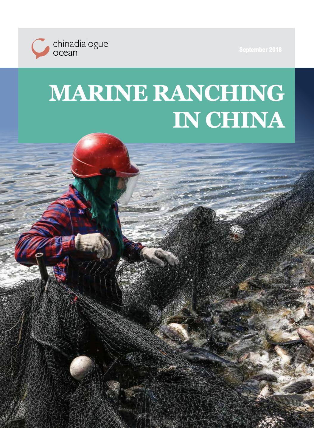Marine ranching in China | Dialogue Earth