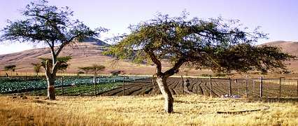 Africa “land grab” by US colleges | Dialogue Earth