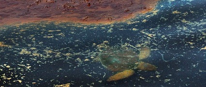 Battle for the seas | Dialogue Earth