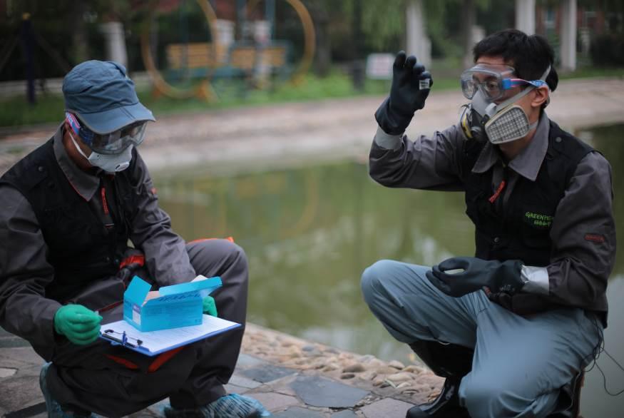 Green tech is China’s ‘gold mine’ | Dialogue Earth