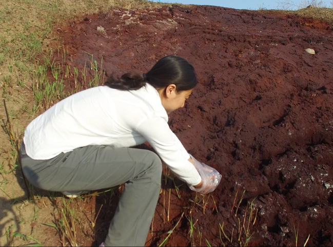 Young environmental journalist reinvents herself | Dialogue Earth