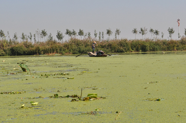 Video: the disappearance of Lake Baiyangdian | Dialogue Earth