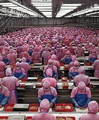 Decoupling success and happiness | Dialogue Earth