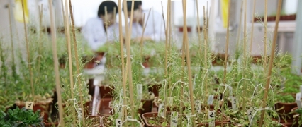 Let’s talk about biotech | Dialogue Earth