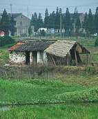 Fighting poverty and saving the environment | Dialogue Earth