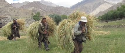 Fragile adaptation in Ladakh | Dialogue Earth