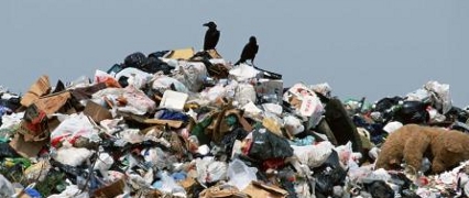 Stand-off over waste incineration in Beijing | Dialogue Earth