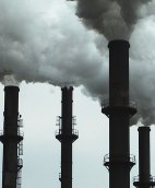 Writer in the spotlight: Alexandra Harney | Dialogue Earth