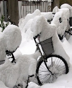 Two snow crises, three decades apart | Dialogue Earth