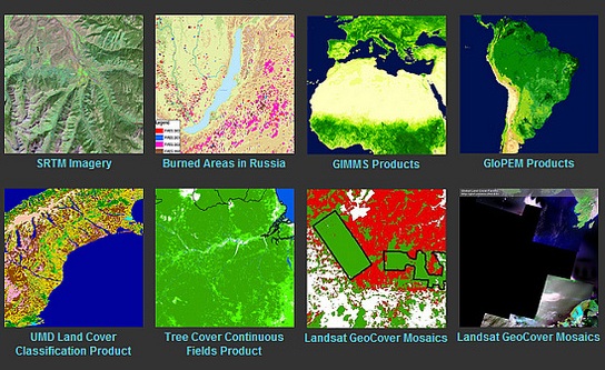 30-year study of US ecosystems heralds age of "big data" | Dialogue Earth