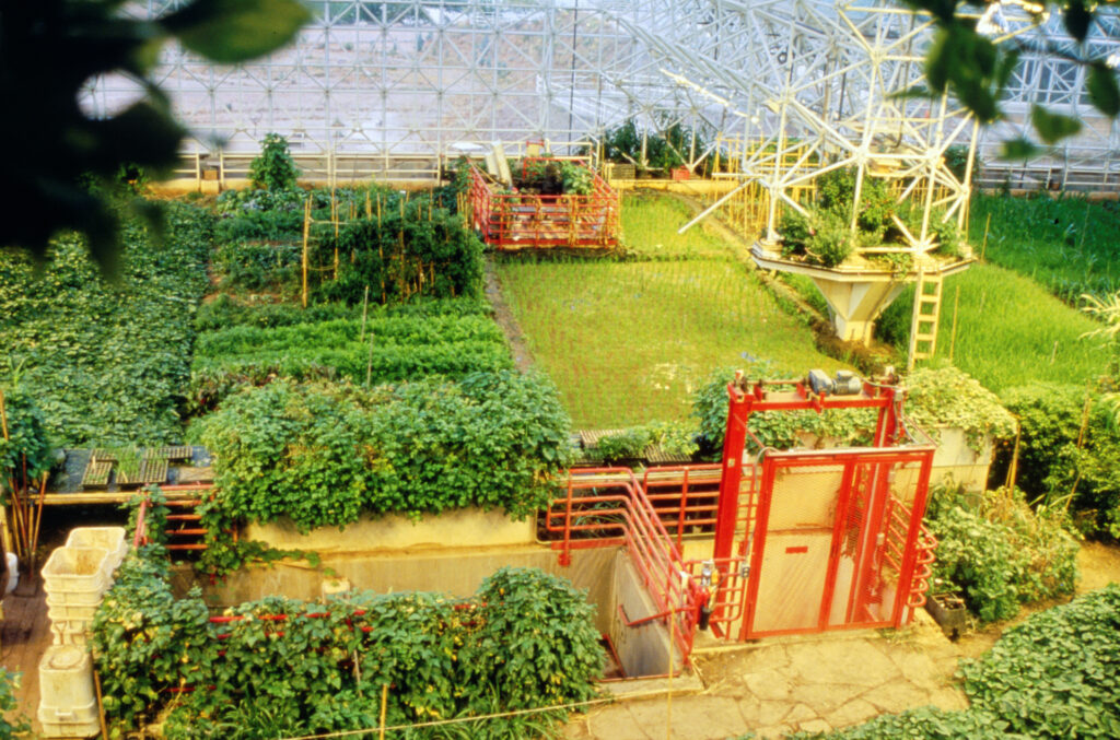 How a ‘kickass daring’ project created a mini-earth