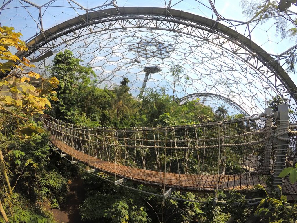 China enters the Garden of Eden