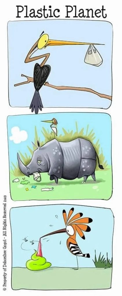 A cartoonist captures the biodiversity of Assam | Dialogue Earth