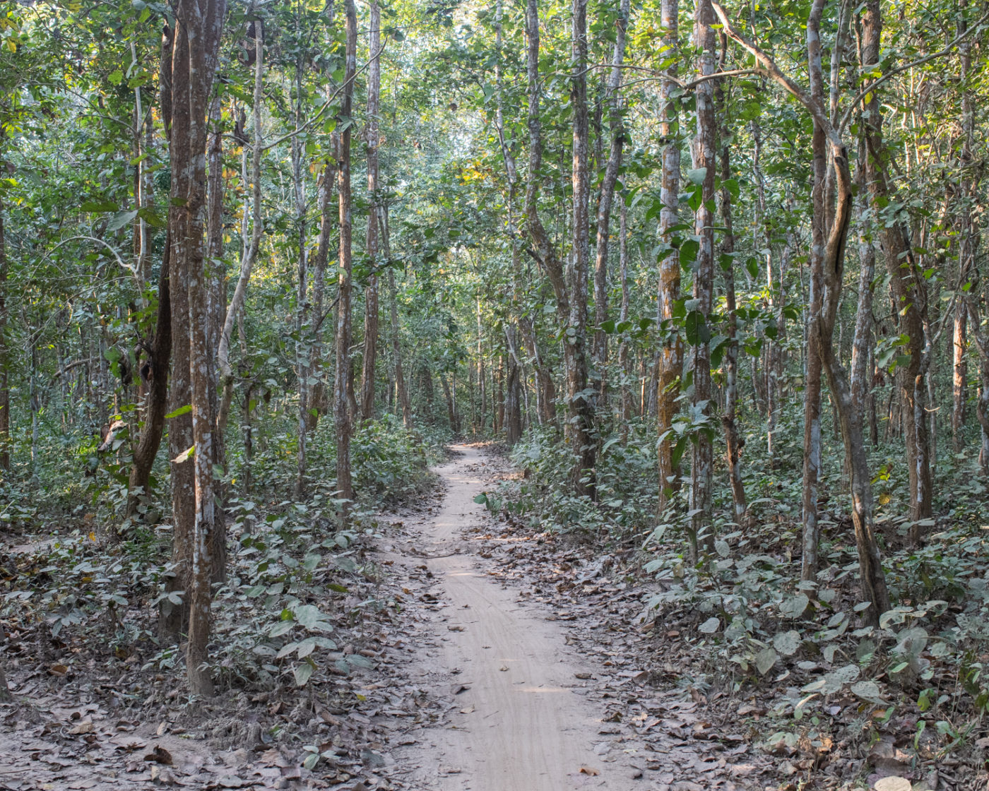 Photo essay: Indigenous people fight for their forest in Bangladesh