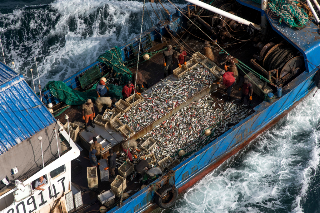 Distant-water fishing operations must become more transparent ...