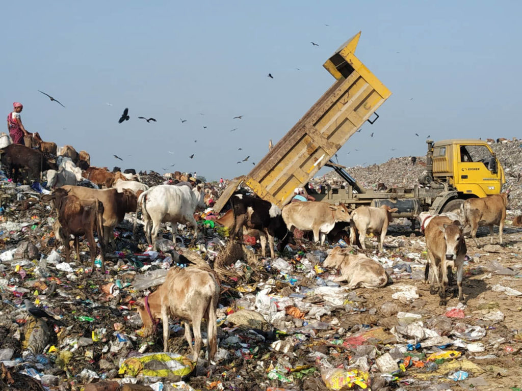 Sewage pollution drives deterioration of Brahmaputra | Dialogue Earth