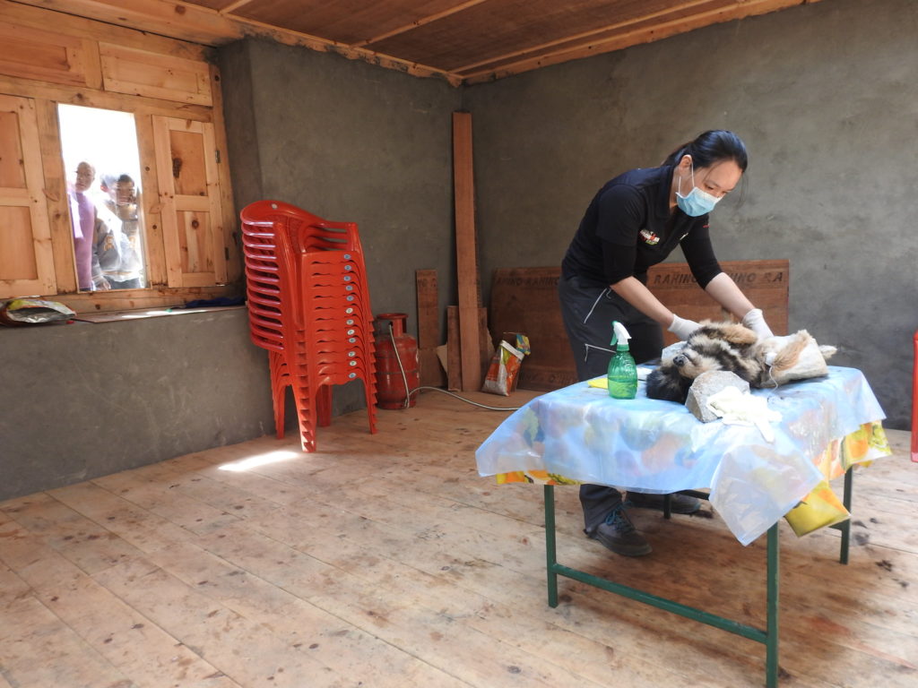 Feral dogs aggravate biodiversity crisis in Himalayas | Dialogue Earth