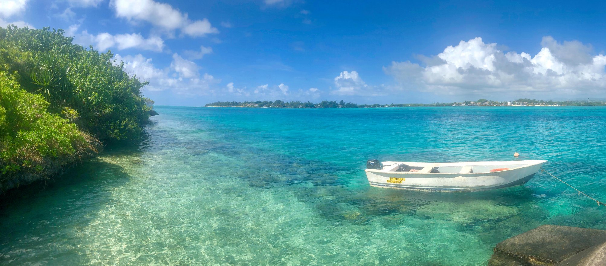 Oil spill in the Indian Ocean damages rich marine ecosystems