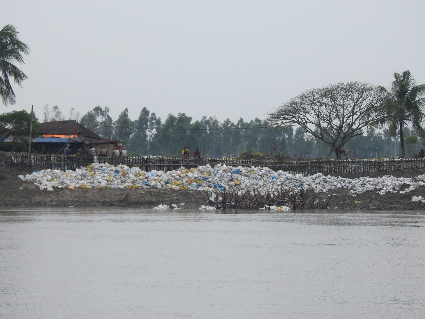 Search for solutions in cyclone-battered Sundarbans | Dialogue Earth