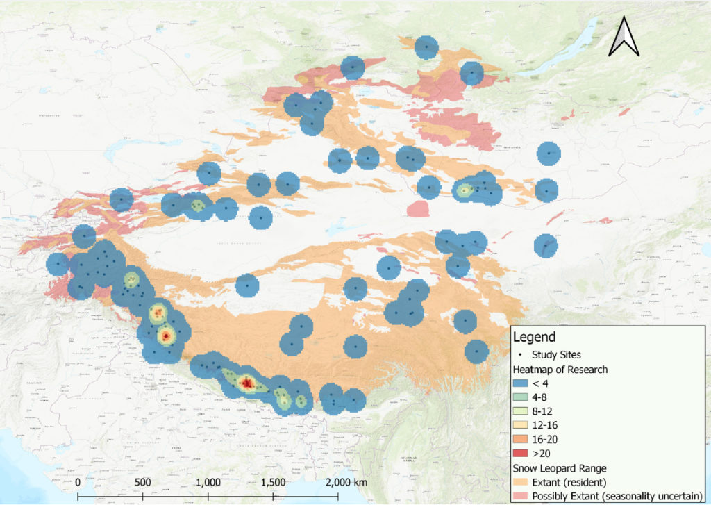 Snow leopard conservation hampered by lack of research | Dialogue Earth