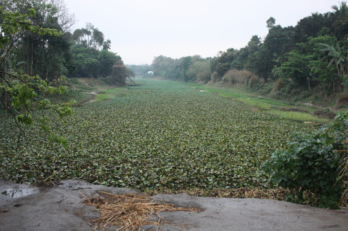 World Rivers Day 2021: Restoring Bangladesh’s rivers | Dialogue Earth