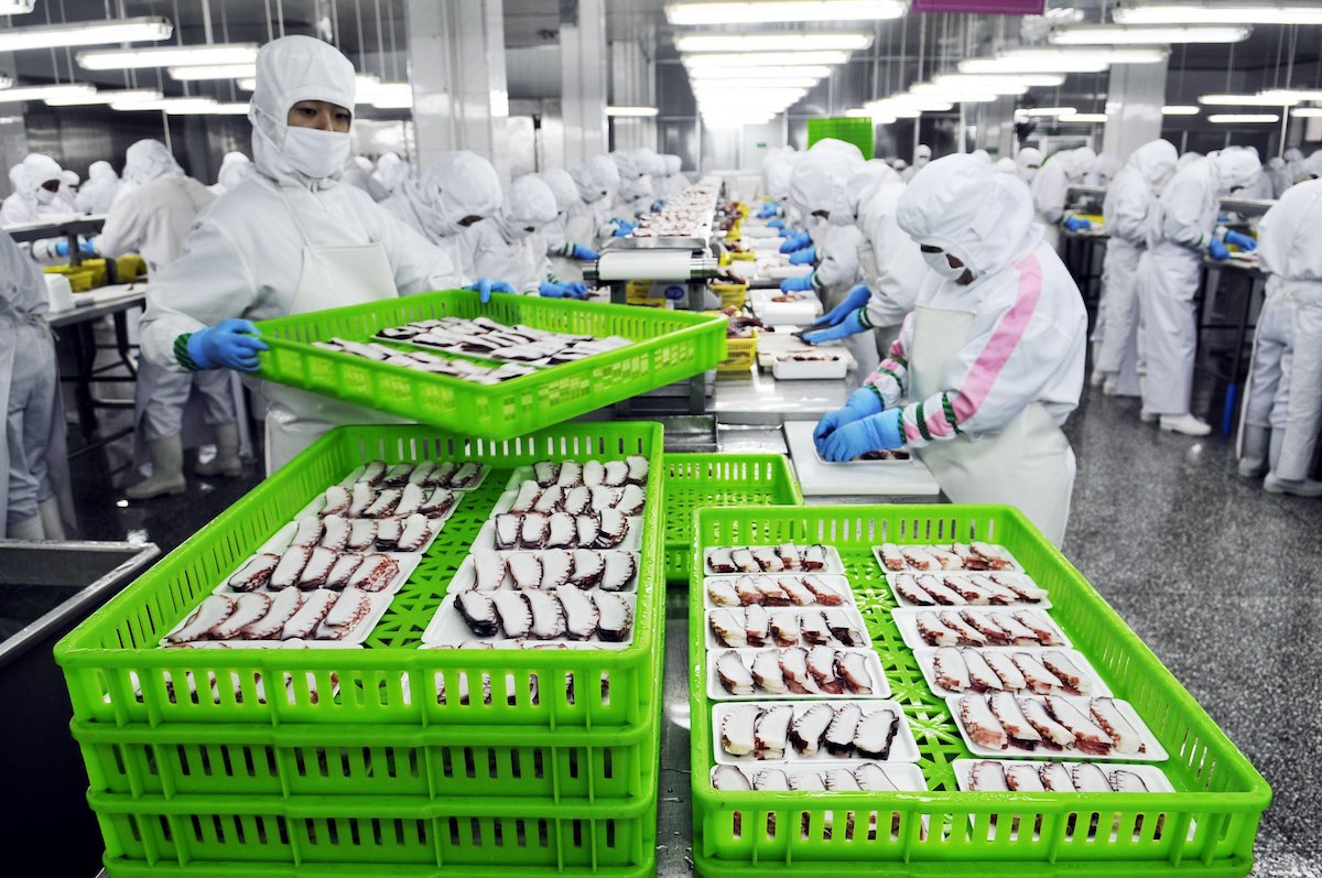 China re-exports most of the seafood it imports | Dialogue Earth