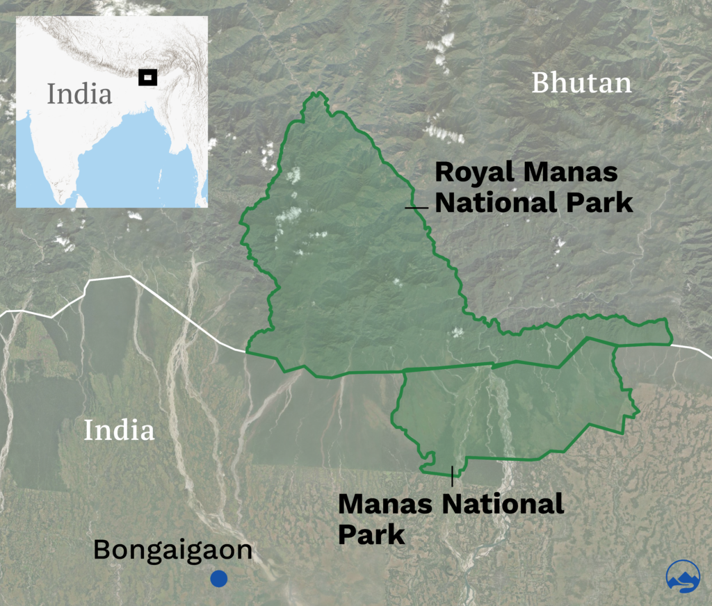 Asiatic black bears stray from Manas National Park | Dialogue Earth