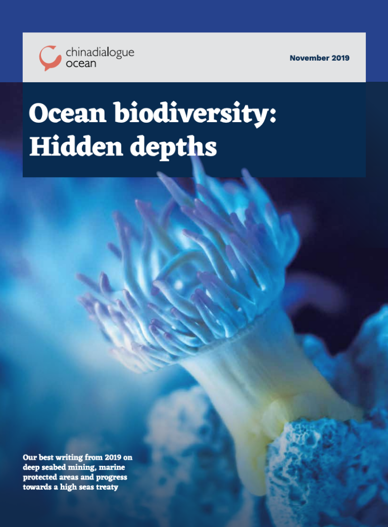Ocean biodiversity: Hidden depths | Dialogue Earth