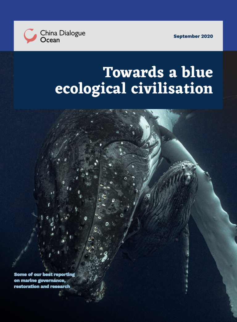Towards a blue ecological civilisation | Dialogue Earth