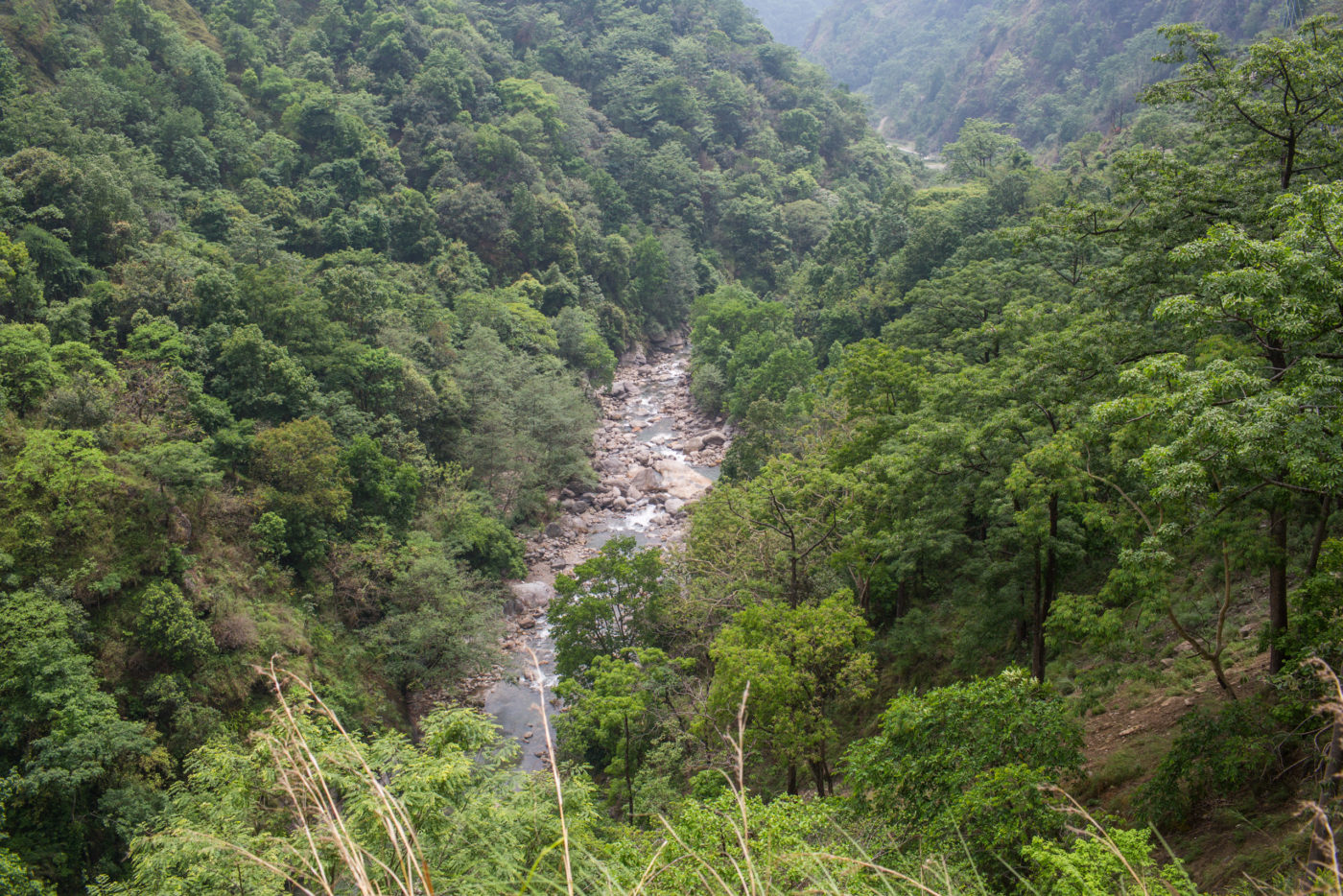 Nepal’s honey hunters cling to traditions as bee numbers fall