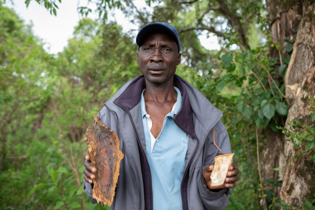 Kenya’s Ogiek community promote a new vision for conservation in Africa ...