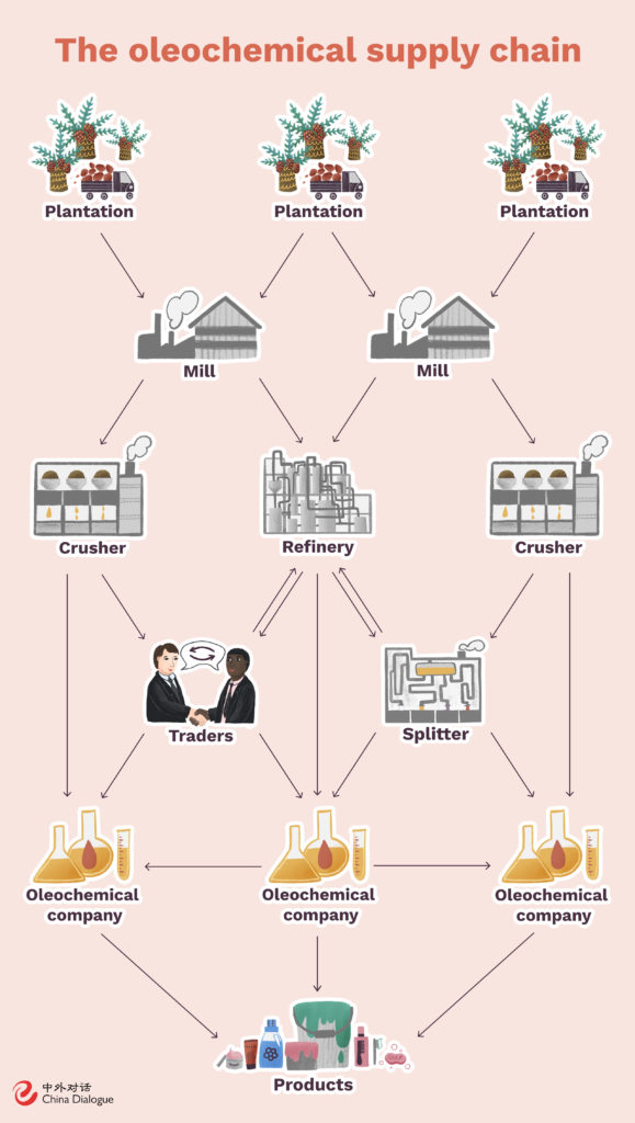 Palm oil derivatives: are sustainability promises lost in the supply ...