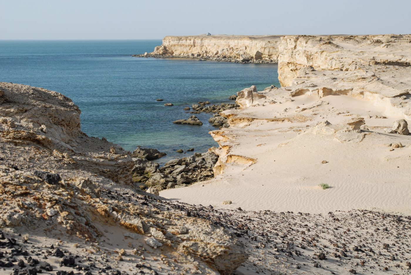 Banc d’Arguin: A blue carbon custodian