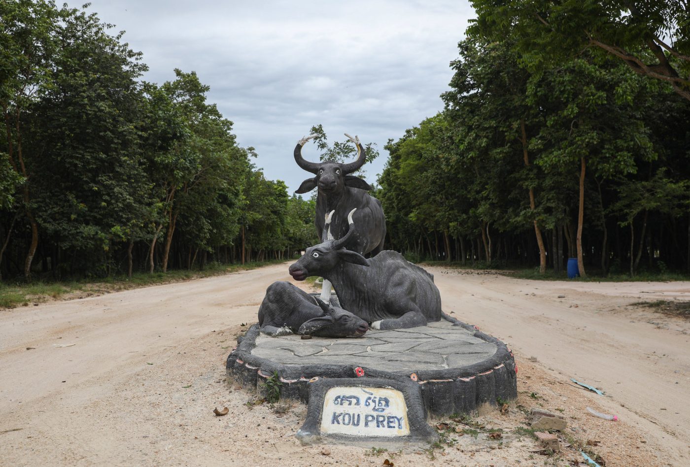 The kouprey: on the trail of Cambodia’s elusive wild cattle