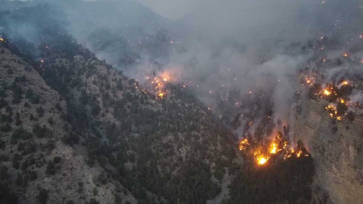 Long-term impacts of ‘terrible’ fire season in Pakistan’s mountains