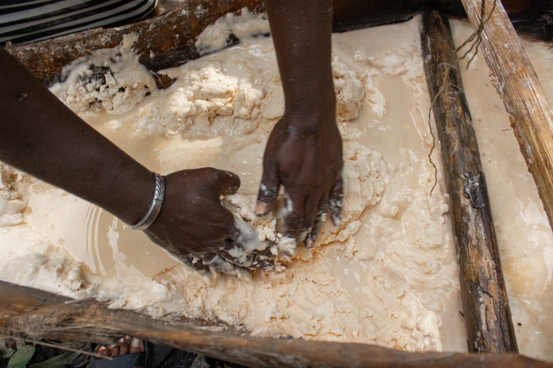 The Moi struggle for land rights | Dialogue Earth