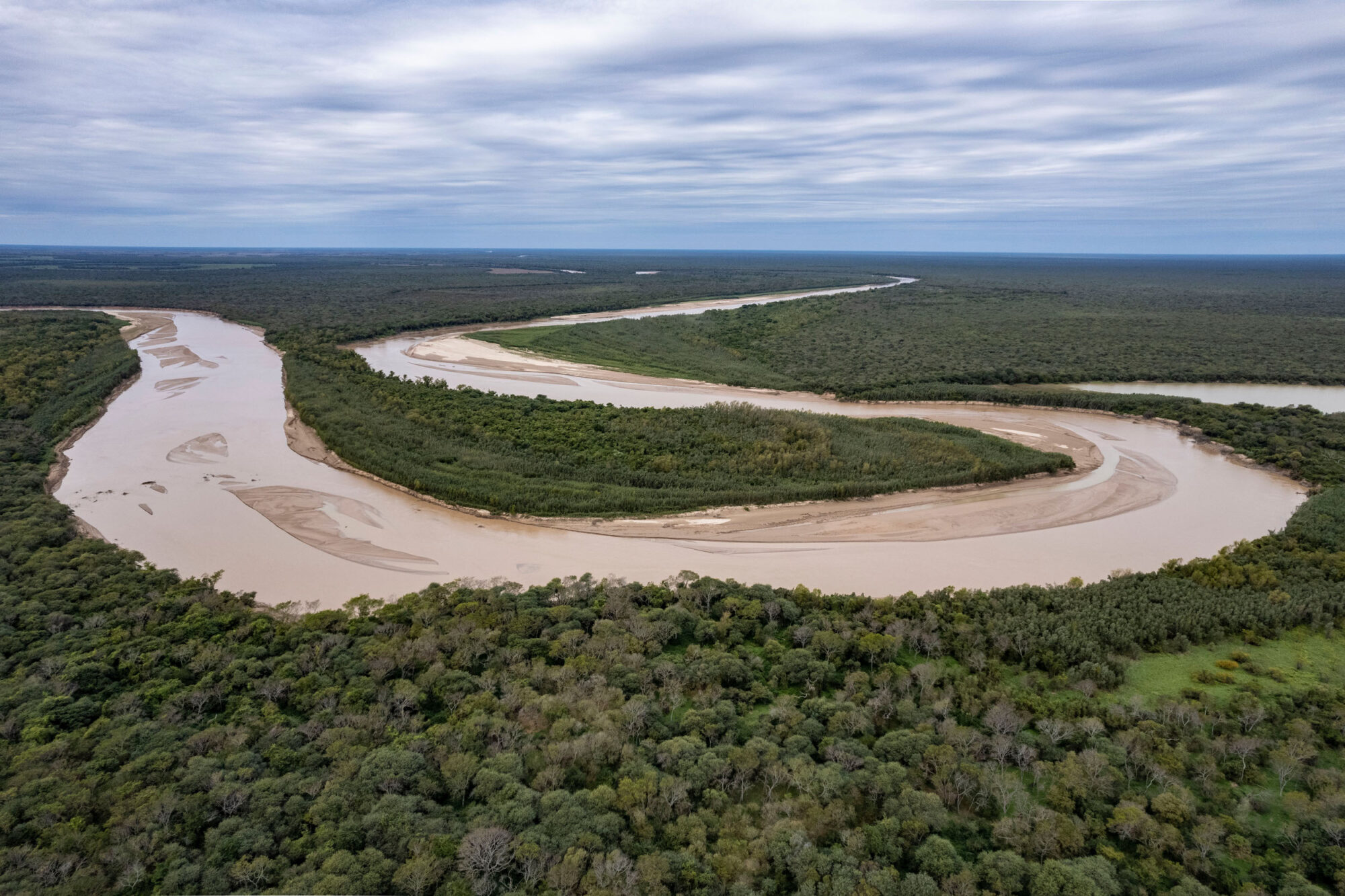 Gran Chaco: Argentina risks losing its largest native forest