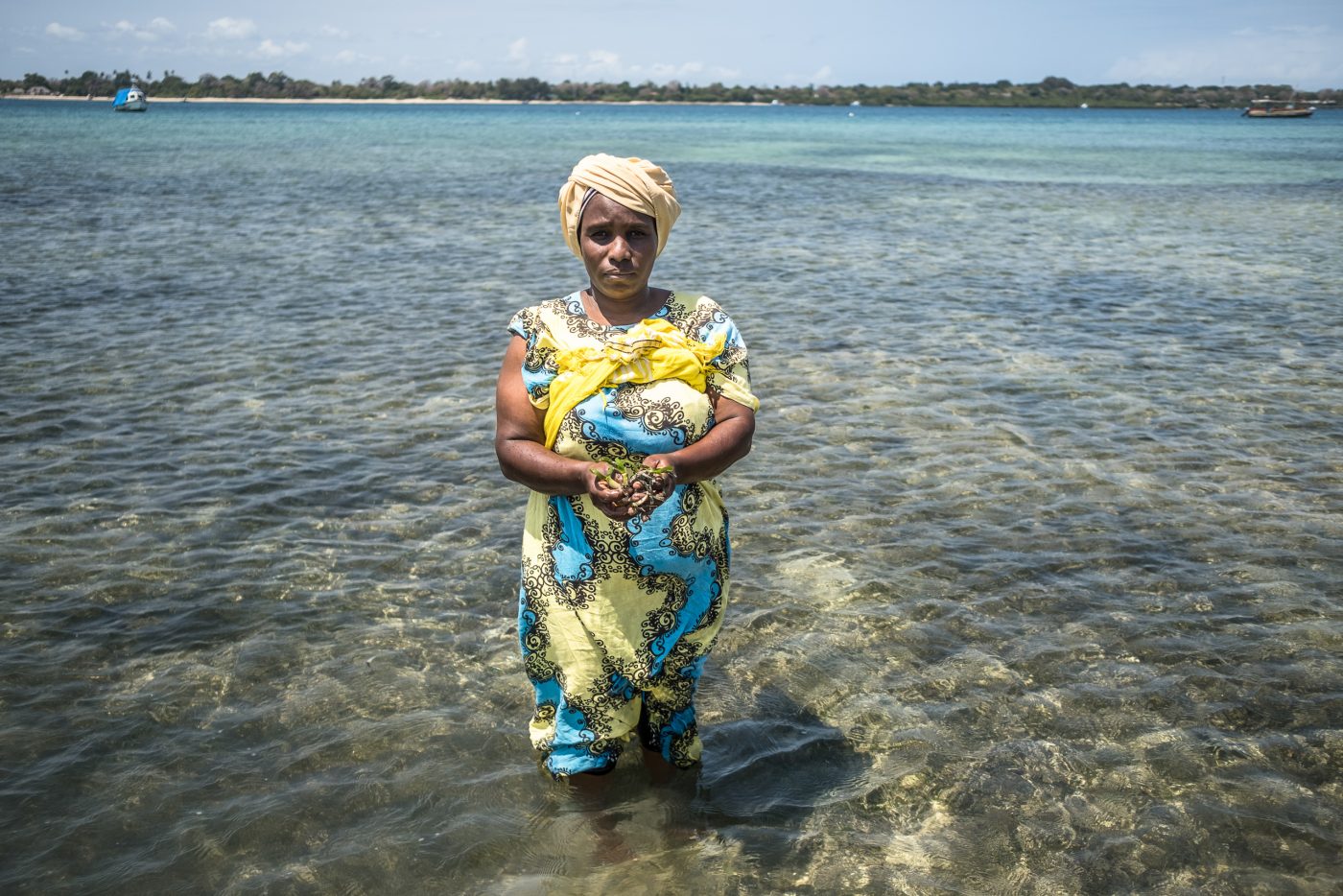 The community restoring Kenya’s seagrass meadows