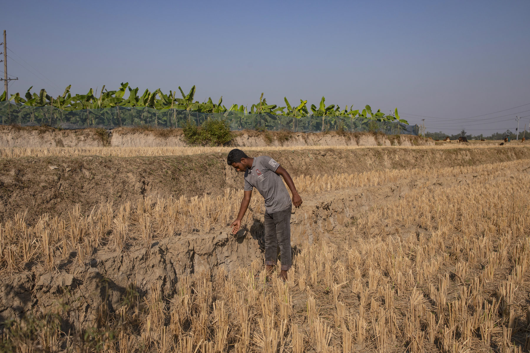 Bangladesh’s lone coal mine blights once-fertile land