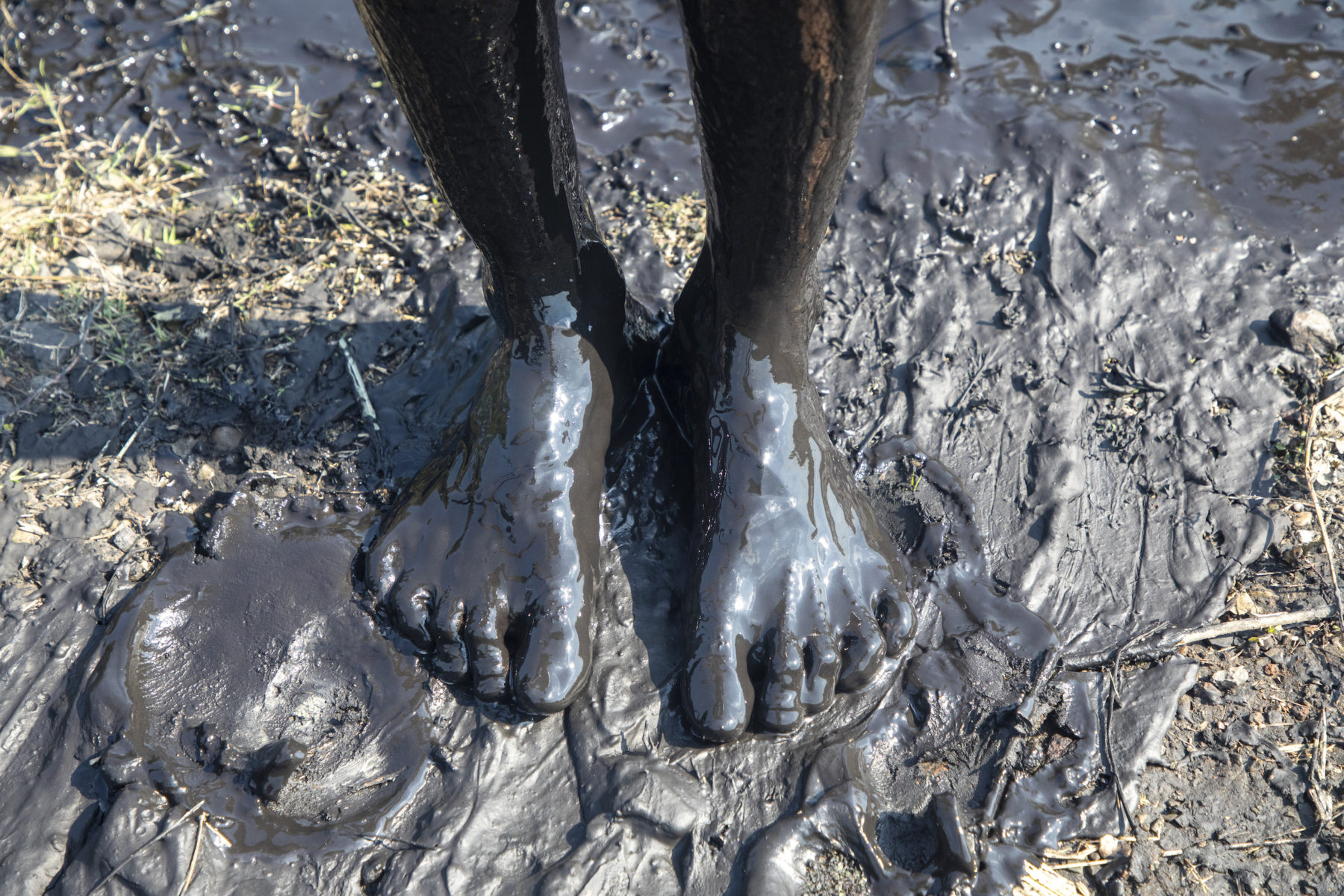 Bangladesh’s lone coal mine blights once-fertile land