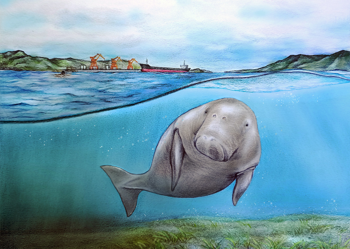 Mapa Do Habitat Do Dugongo Malaysia Dugong & Seagrass Hub