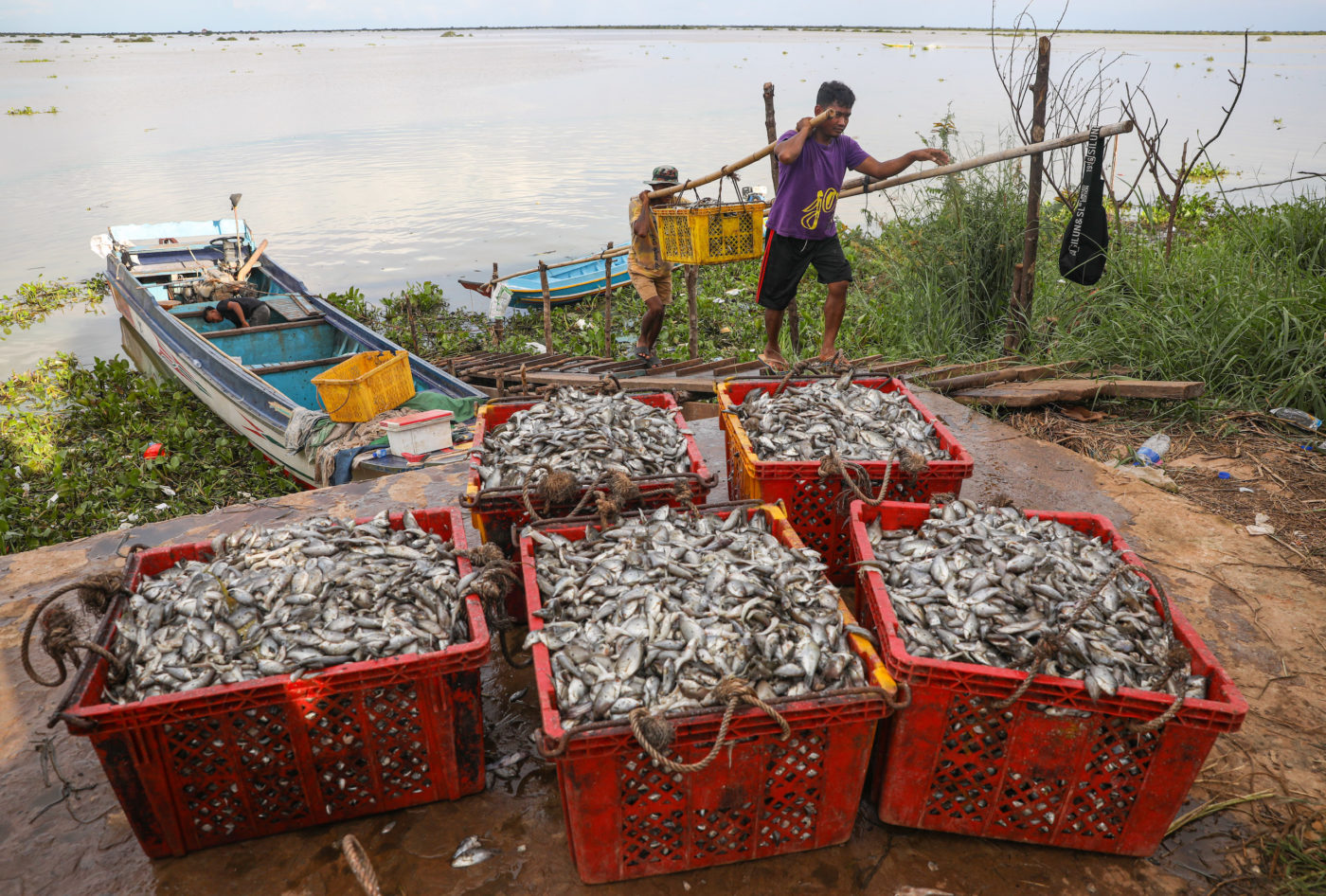 Crackdowns and ecological collapse drive fishers from Tonle Sap Lake
