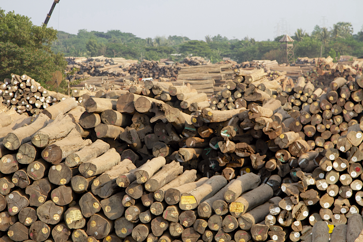Opinion: US teak traders breaking Myanmar sanctions with impunity