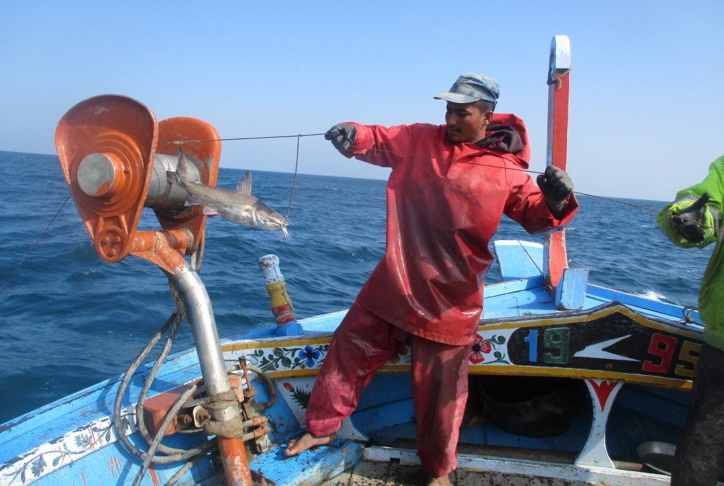 Longline fishing in Pakistan almost eradicates bycatch | Dialogue Earth