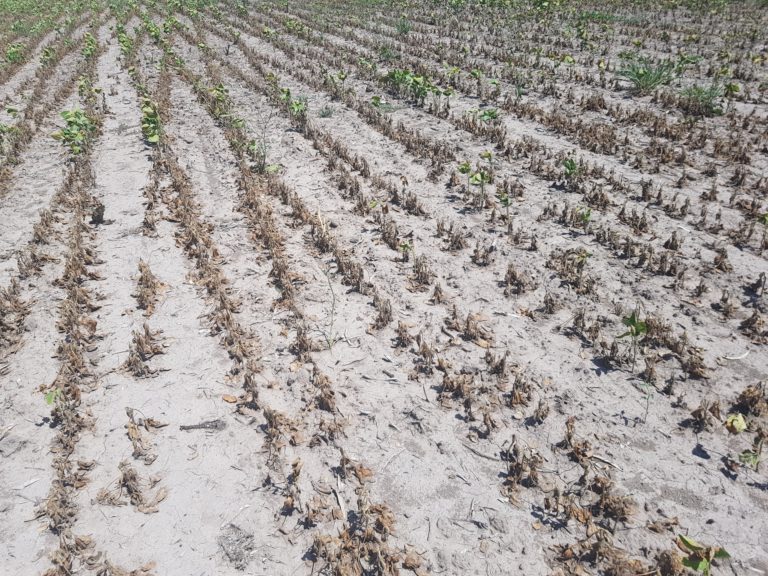 La Niña ends, but drought exposes deeper problems for Argentina ...