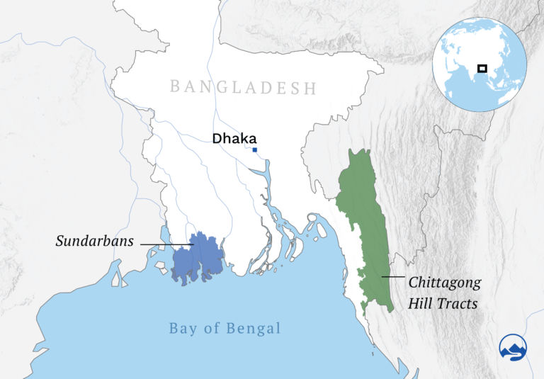 Bangladesh pauses plan to reintroduce tigers to Chittagong Hills