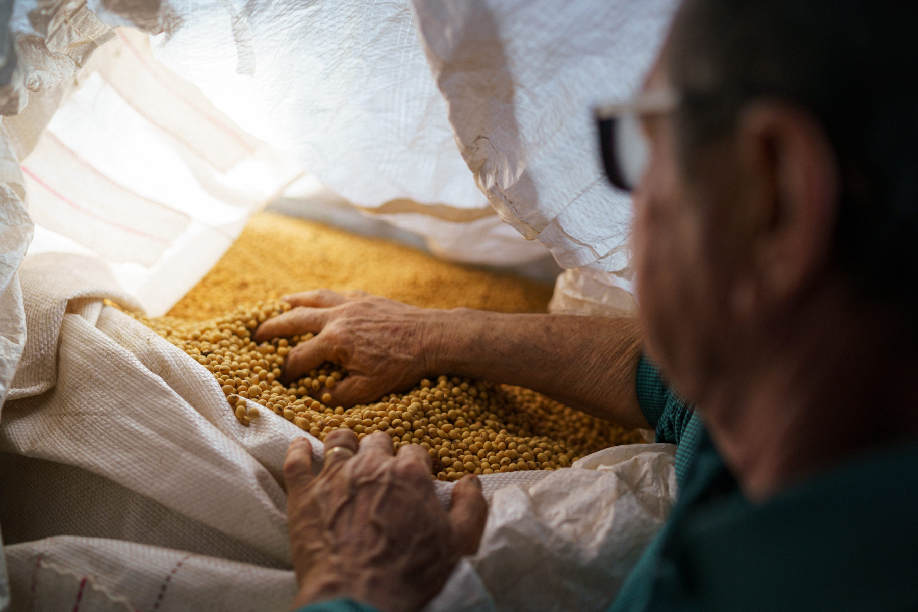 After historic drought, El Niño rains pose new hurdle for Brazil’s farmers