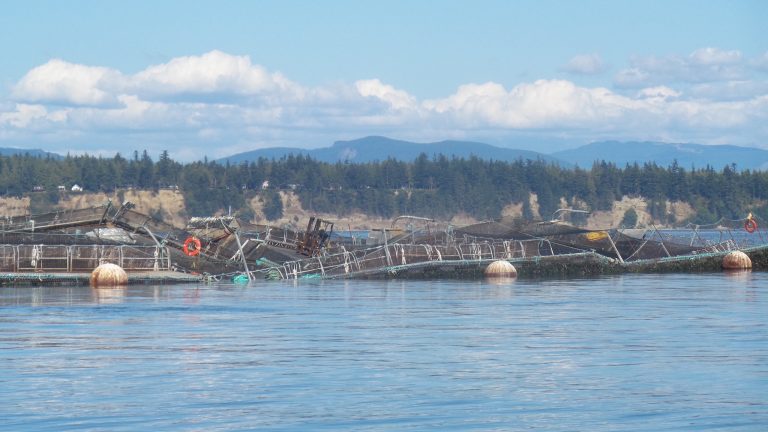 China’s offshore fish farming grows amid environmental concerns ...