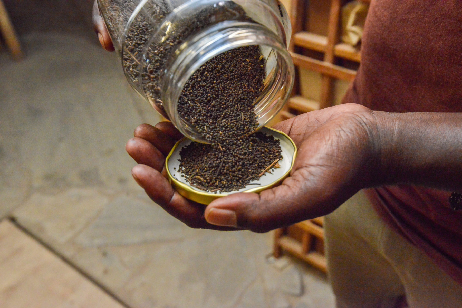 In Kenya, seed banks help with food security